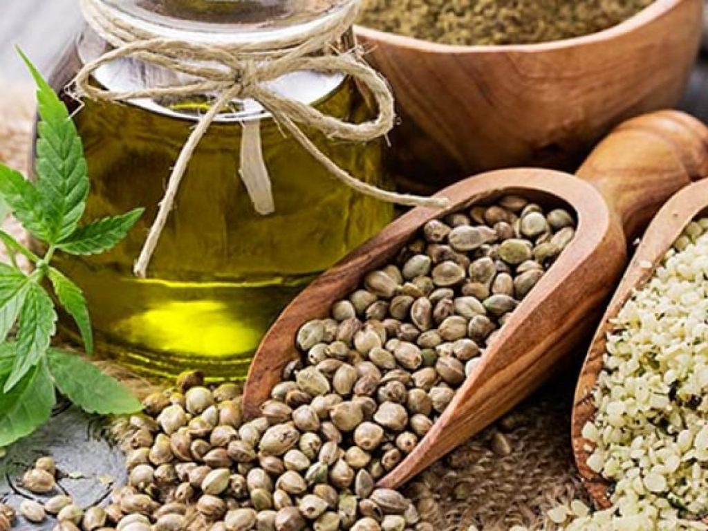 Semintele de canepa – remediu natural – Sfaturi Medicale